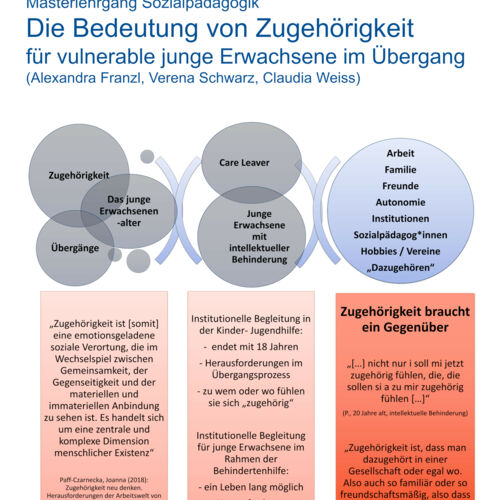 "Dazugehören". Das Erleben von Zugehörigkeit - Forschung an der USTP ...